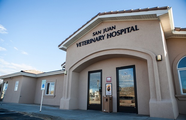 Veterinarian in Farmington, NM | San Juan Veterinary Hospital