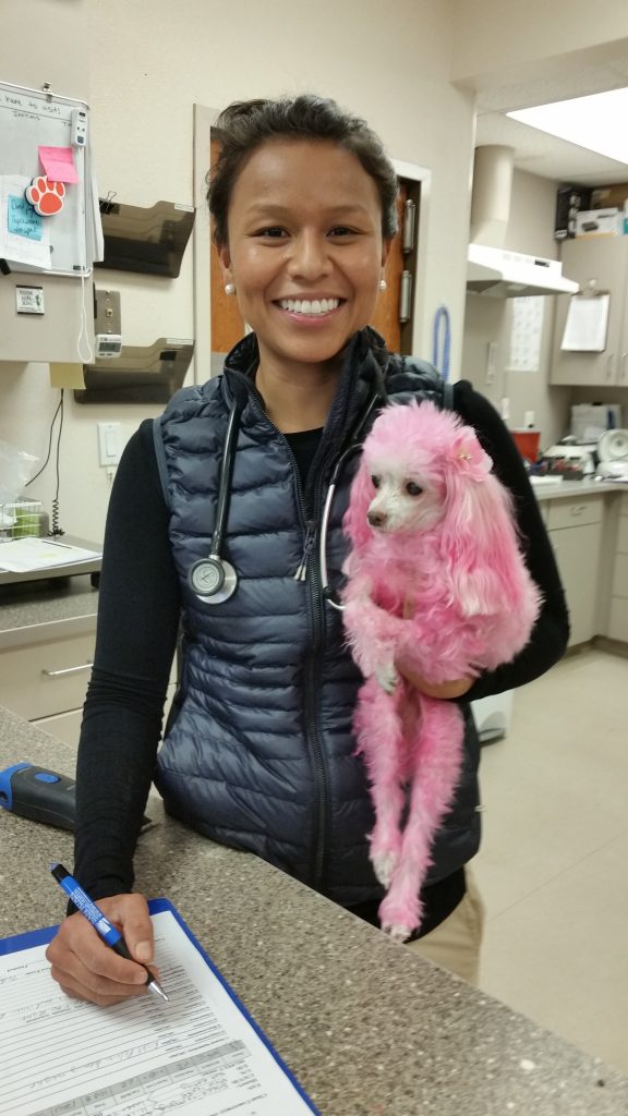 Roxanne Benally, DVM | San Juan Veterinary Hospital